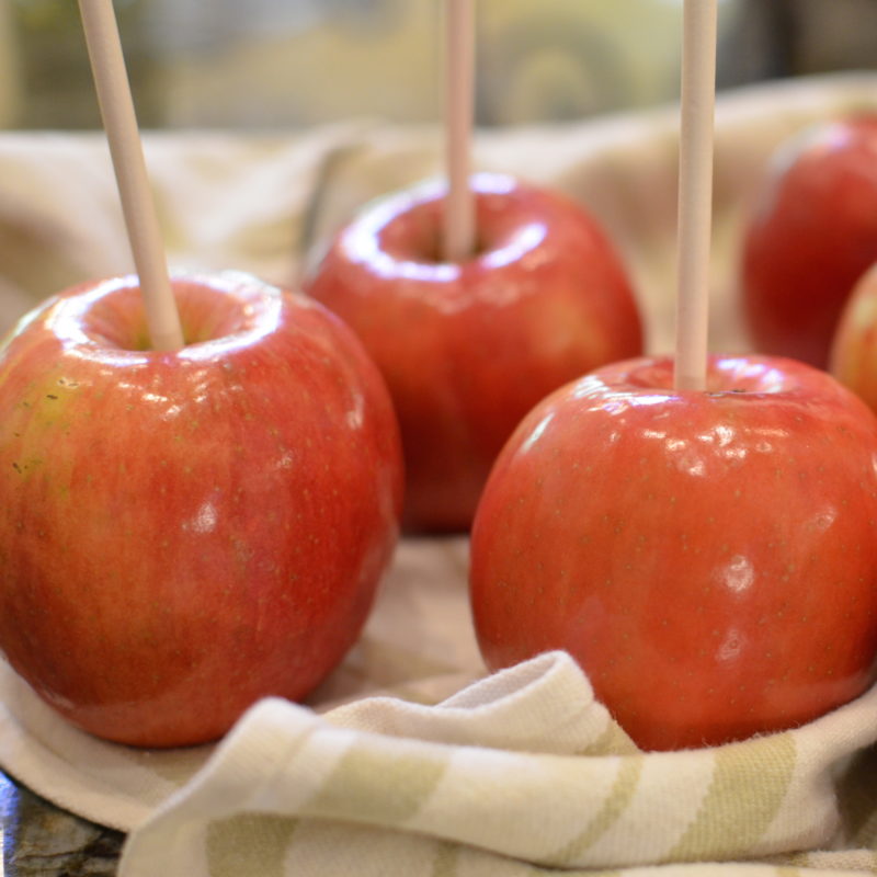 RED, WHITE AND BLUE CANDIED APPLES