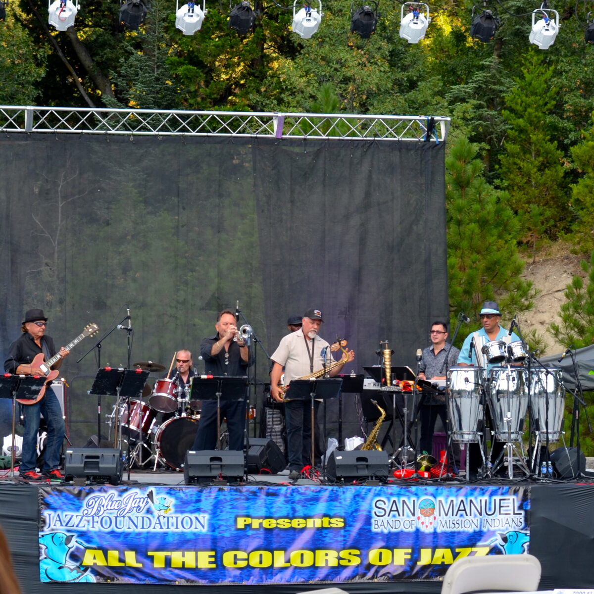 JAZZ IN BLUE JAY
