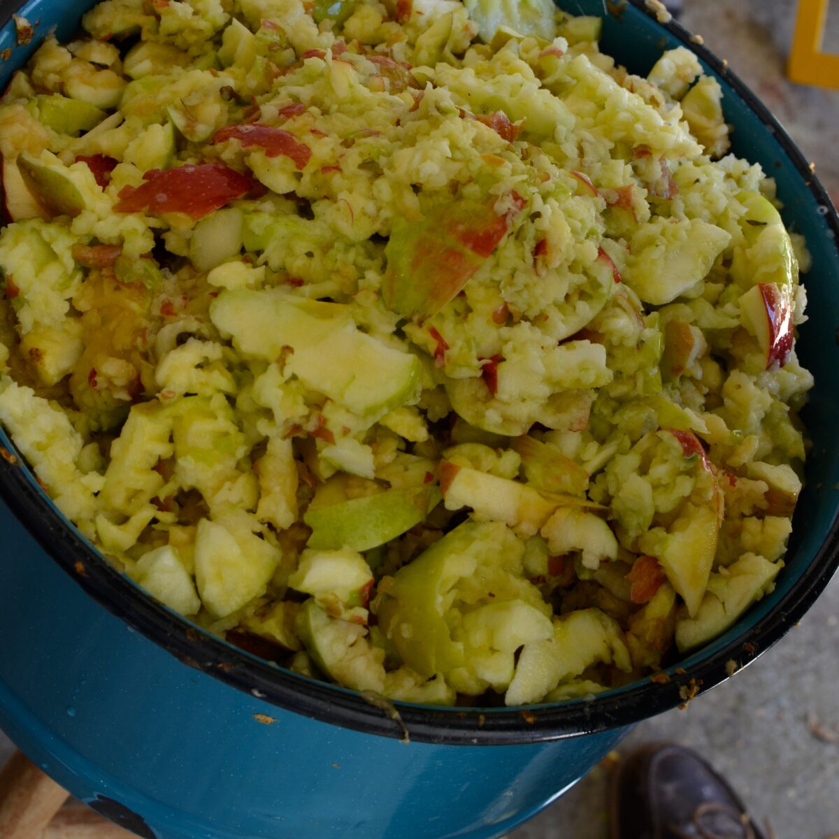 THE MAKING OF HARD APPLE CIDER