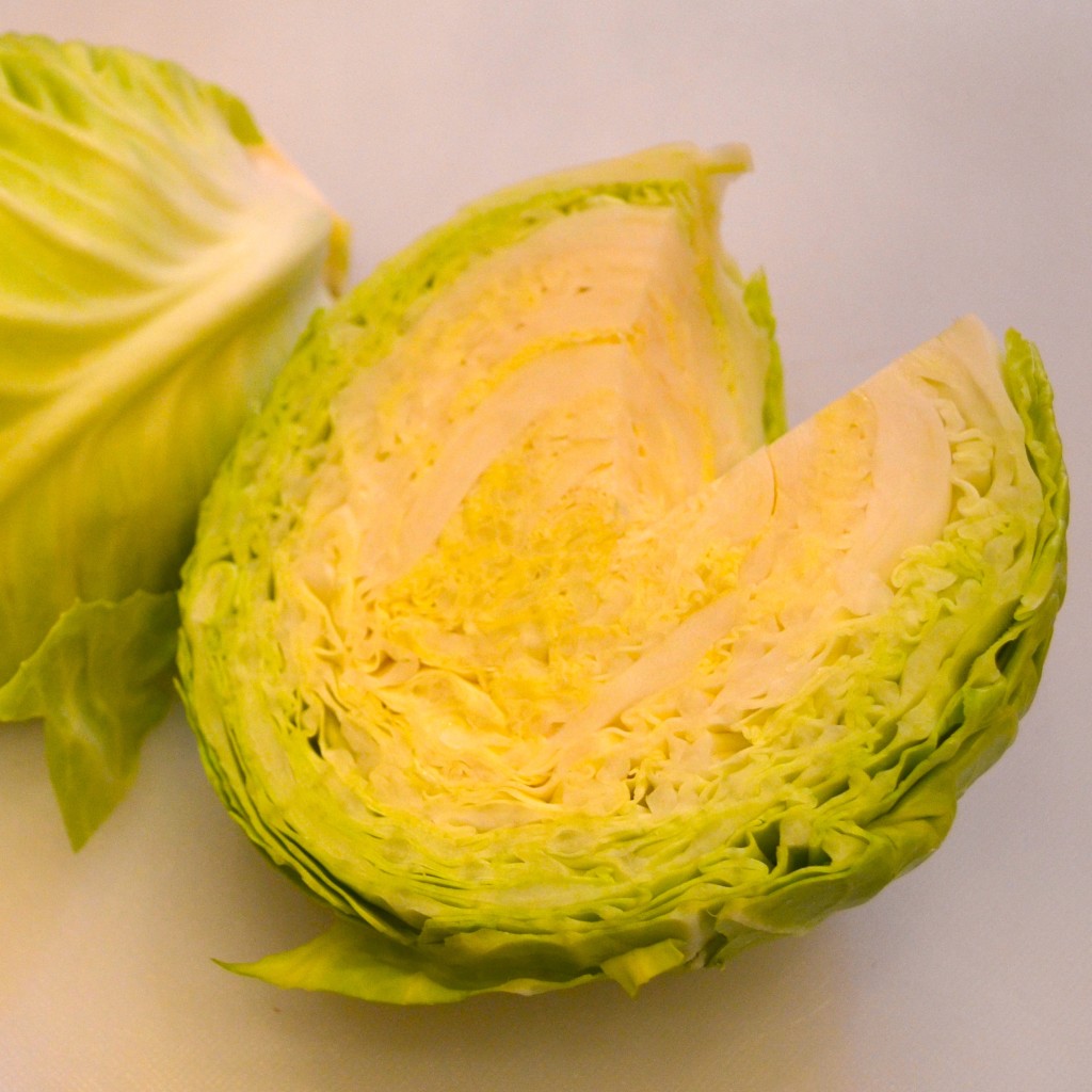 FISH TACO RECIPE – MY SON’S FAVORITE MOM DISH